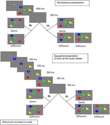 Frontiers | Feature Binding of Sequentially Presented Stimuli in Visual Working Memory